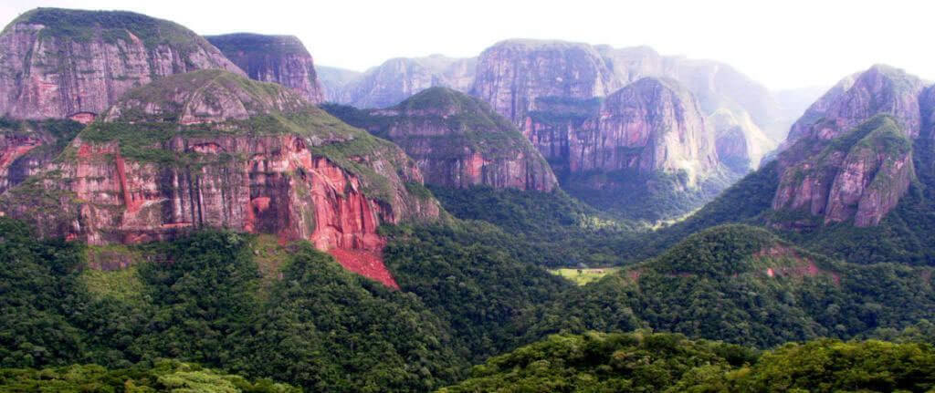 Amboro National Park