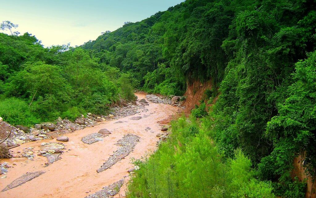Calilegua National Park: A Biodiversity Haven in the Argentine Yungas ...