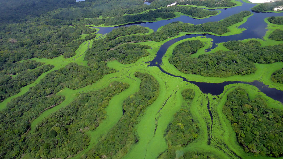 Central Amazon Conservation Complex (Brazil) | LAC Geo