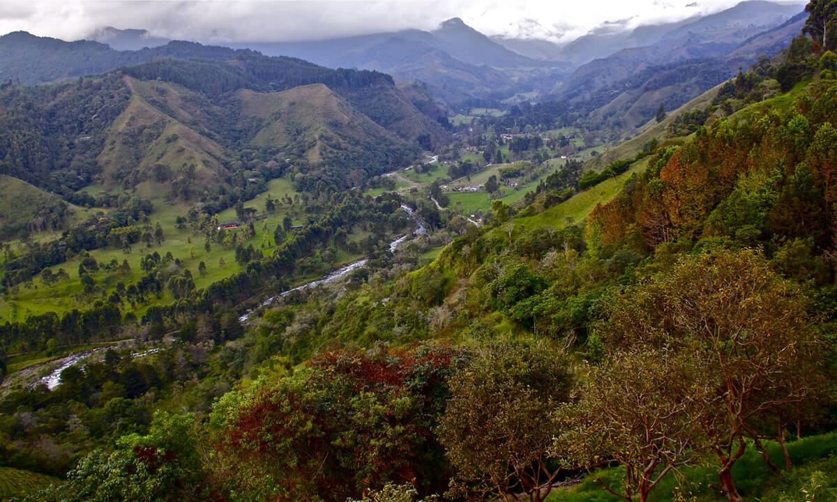 Colombia's Coffee Triangle & Paisa Region: A Cultural & Culinary Gem ...