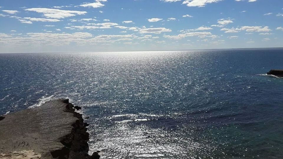 Valdés Peninsula: Patagonia's Jewel of Biodiversity & Conservation ...