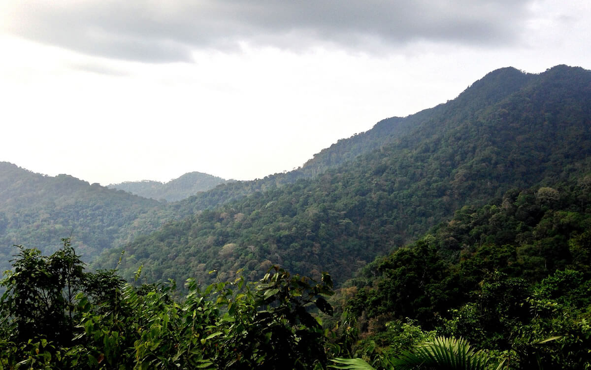 Darién National Park: A Bastion of Biodiversity & Cultural Heritage ...