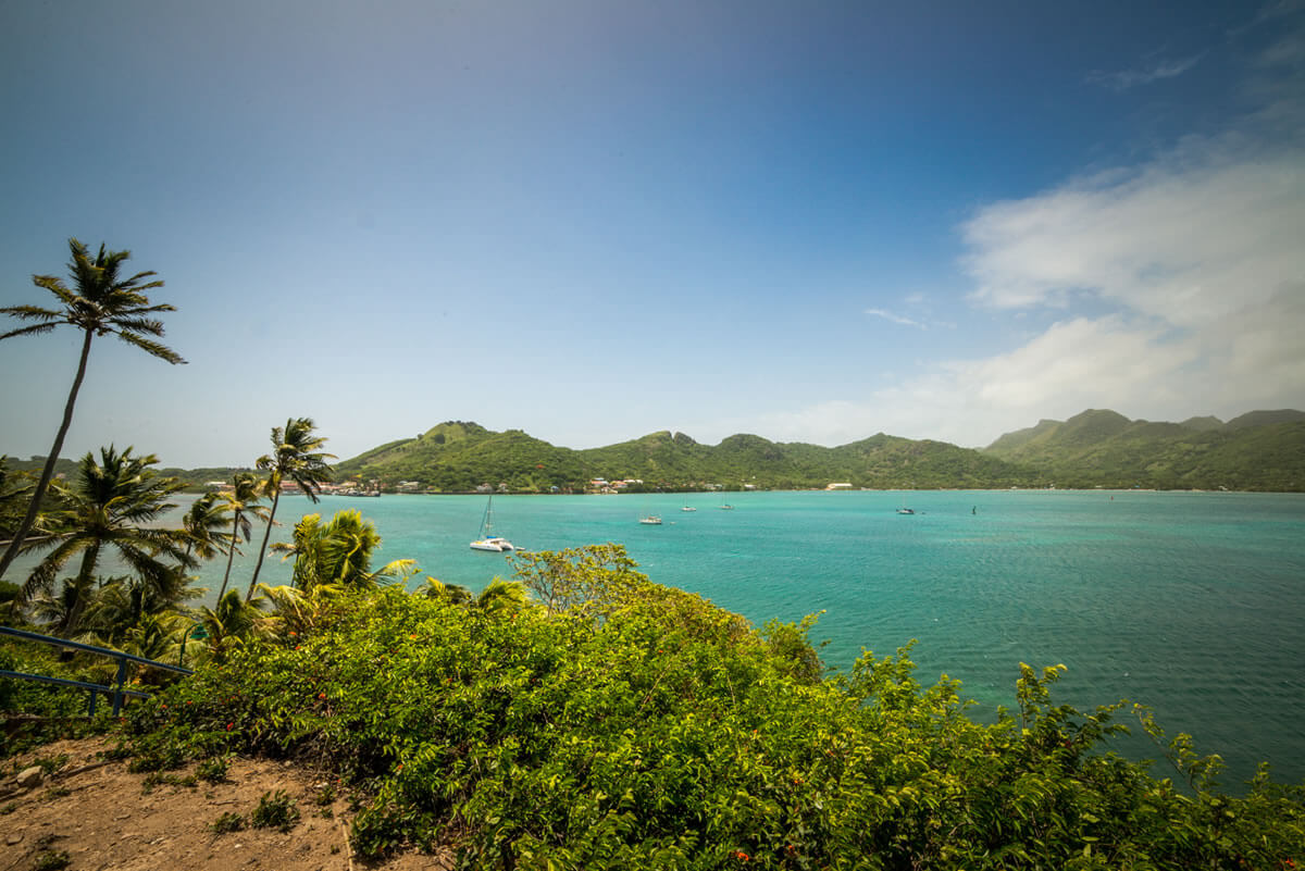 Exploring the Seaflower: Colombia's Vibrant Marine Biosphere Reserve ...
