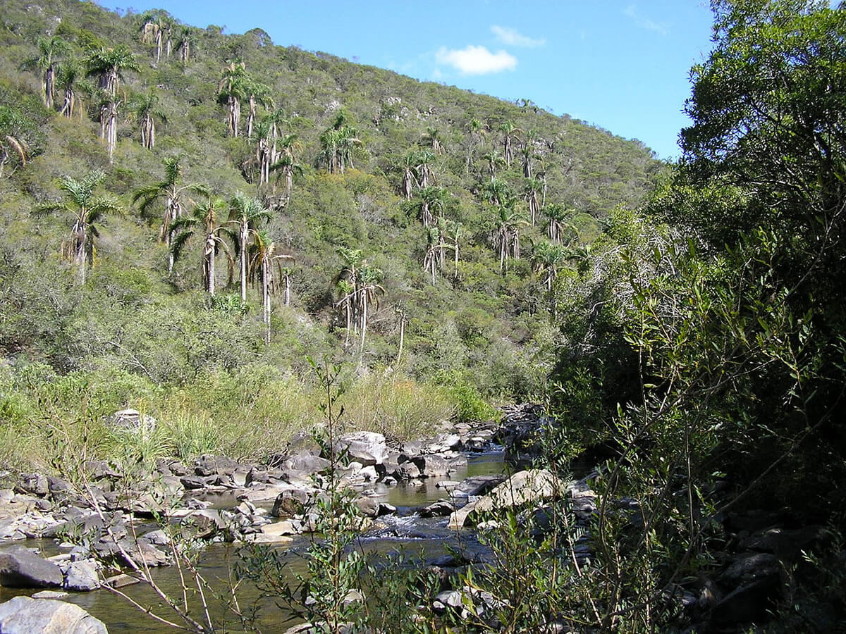 Bioma Pampa-Quebradas del Norte: Sanctuary of Biodiversity & Heritage ...