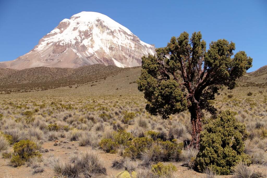 The Cordillera Central Páramo: A High-Altitude Oasis of Andean ...