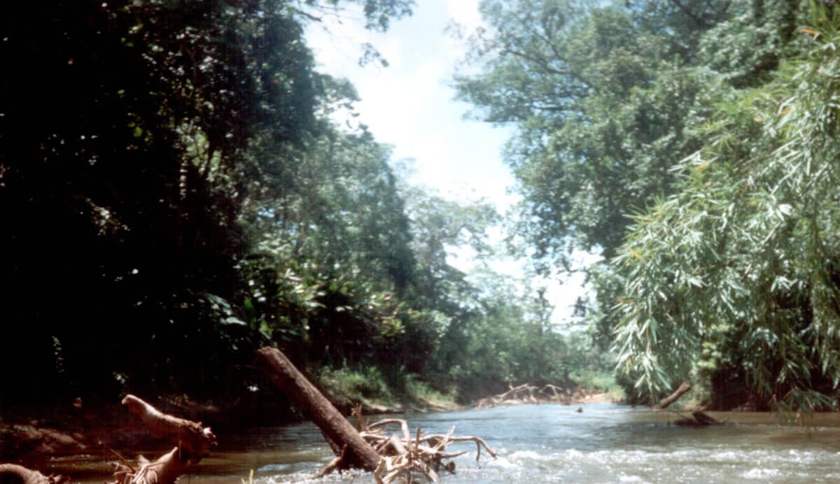 Río Plátano Biosphere Reserve: Guardian of Biodiversity | LAC Geo