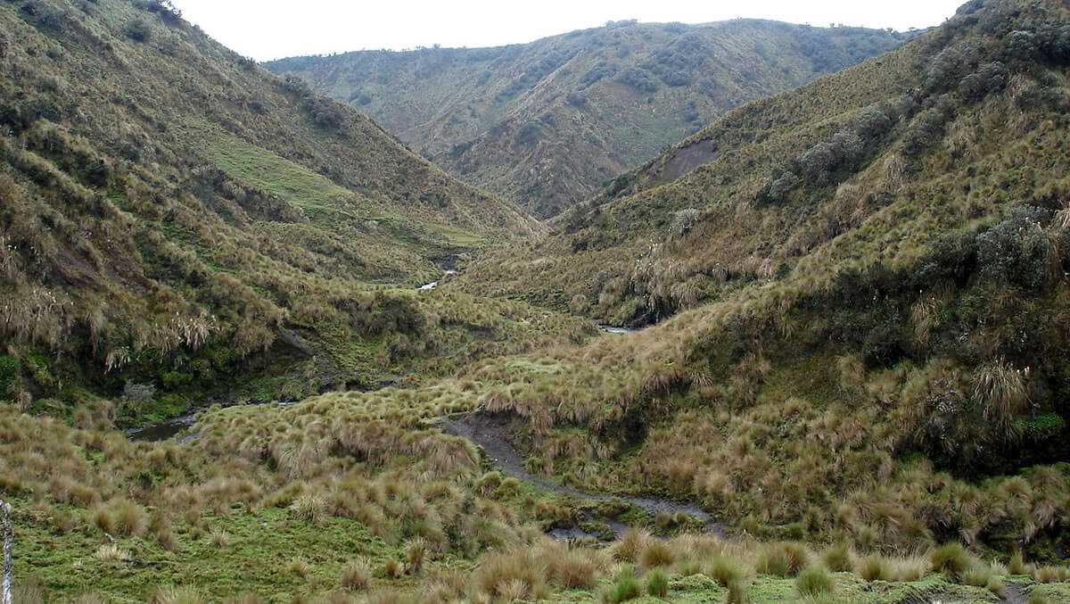 Sangay National Park: Ecuador's Volcanic Wonderland | LAC Geo