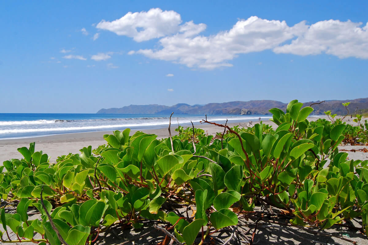 SINAC: Costa Rica's Blueprint for Conservation Success | LAC Geo