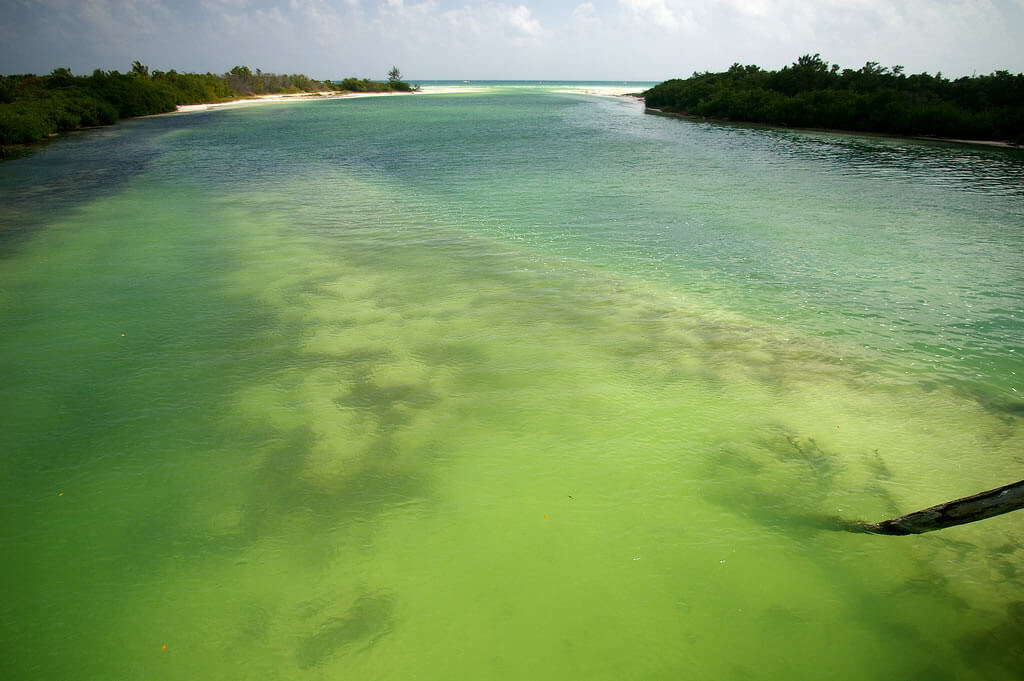 Sian Ka'an: Mexico’s Hidden Ecological & Cultural Gem | LAC Geo
