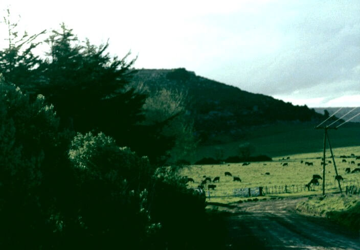 The Humid Pampas: Exploring Argentina's Verdant Plains | LAC Geo