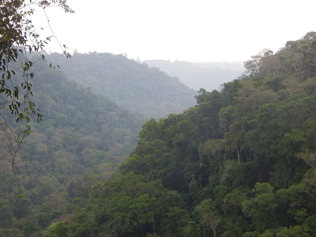 Mesopotamia & the Missionary Jungle: Ecological Riches & Challenges ...