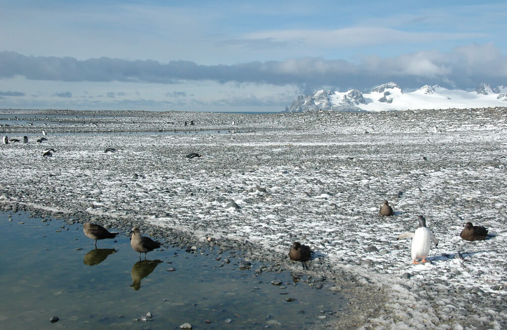 The Scotia Sea & Scotia Arc: A Critical Ocean Gateway & Geological ...