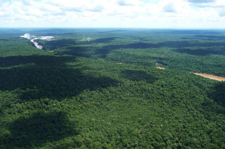 Atlantic Forest Southeast Reserves of Brazil: Biodiversity Hotspot ...