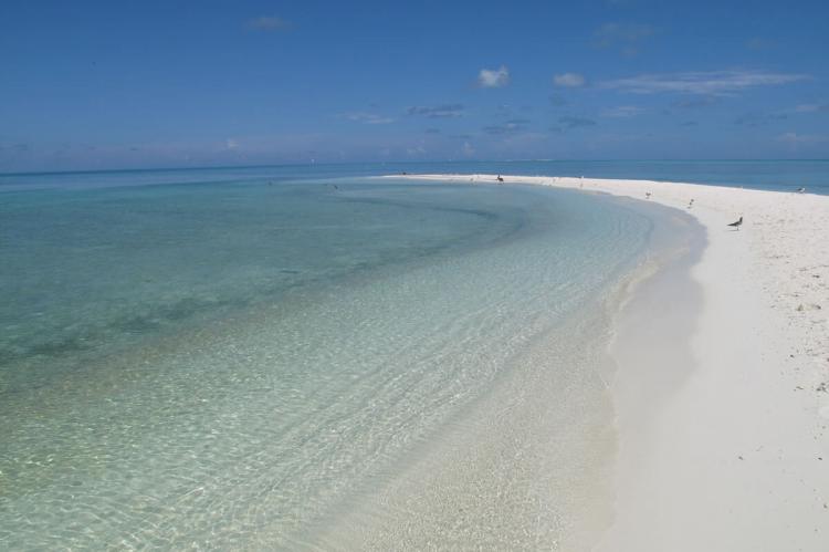 Exploring Arrecife Alacranes: A Jewel of the Gulf of Mexico | LAC Geo