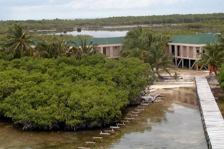 Banco Chinchorro Biosphere Reserve: A Jewel in the Yucatán's Crown ...