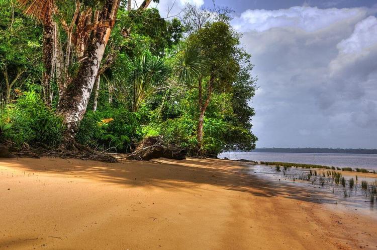Exploring the Essequibo: Guyana's Mighty Watercourse | LAC Geo