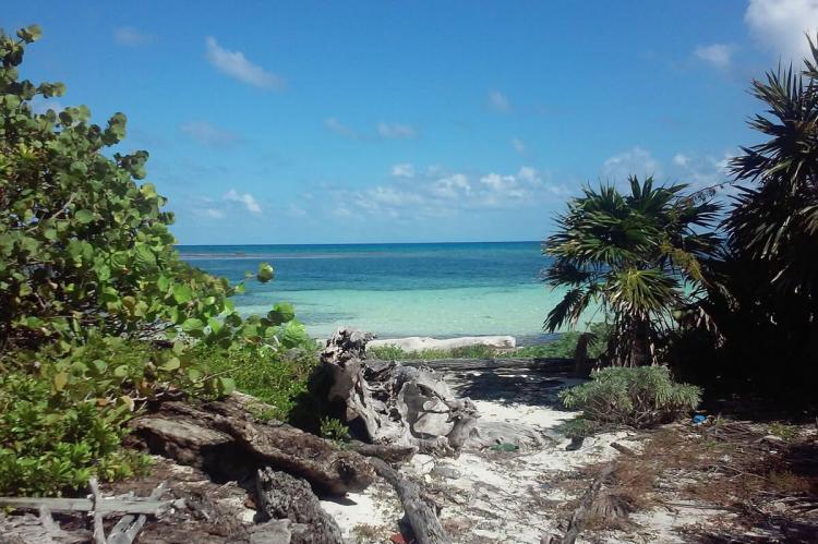 Belize Barrier Reef: A Jewel of Ecological Diversity | LAC Geo