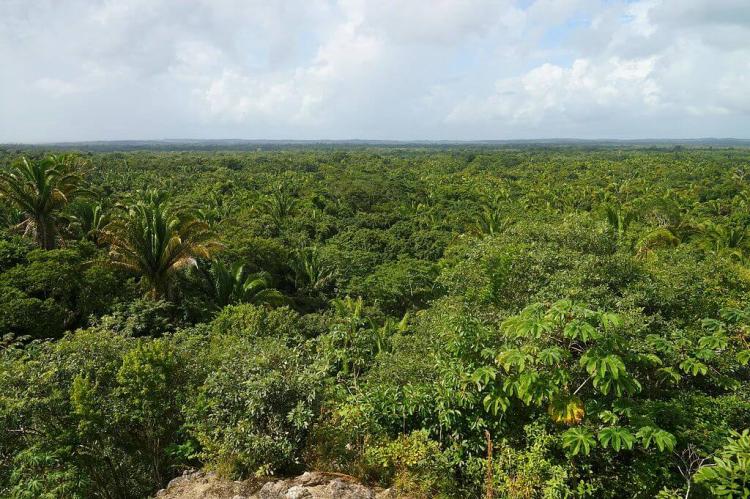 The Geography of Belize: A Comprehensive Analysis | LAC Geo