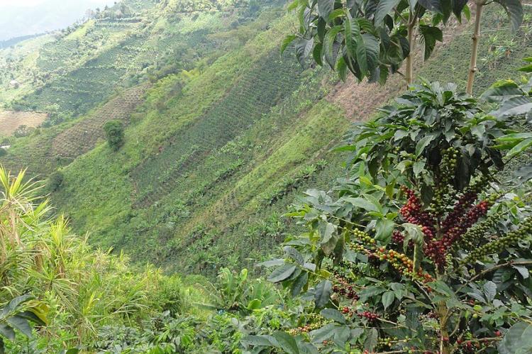 The Geography of Colombia: A Comprehensive Analysis | LAC Geo
