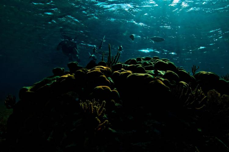 Belize Barrier Reef: A Jewel of Ecological Diversity | LAC Geo