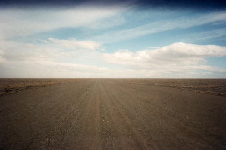 The Semi-arid Pampas: Exploring the Biodiversity of Argentina's Plains ...