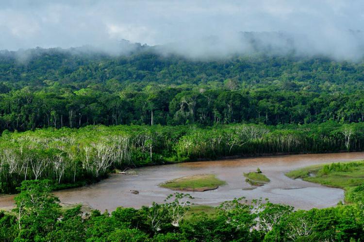 Madidi National Park: Bolivia's Biodiversity Oasis | LAC Geo