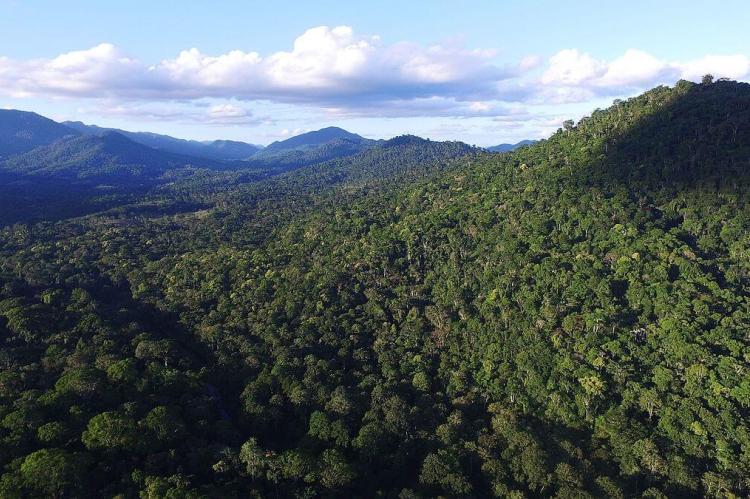 The Geography of Brazil: A Comprehensive Analysis | LAC Geo