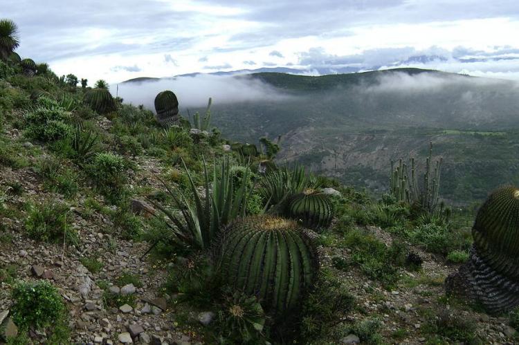 Tehuacán-Cuicatlán Valley: Nexus of Ecology & Culture | LAC Geo
