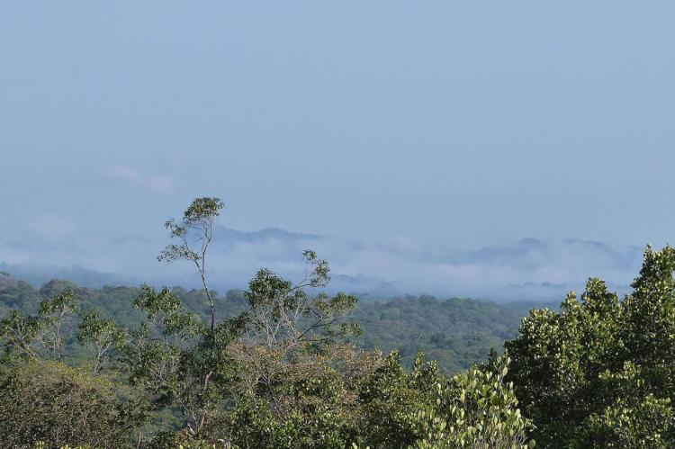 Guiana Amazonian Park: A Jewel of Biodiversity & Cultural Heritage ...