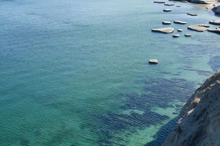 Valdés Peninsula: Patagonia's Jewel of Biodiversity & Conservation ...