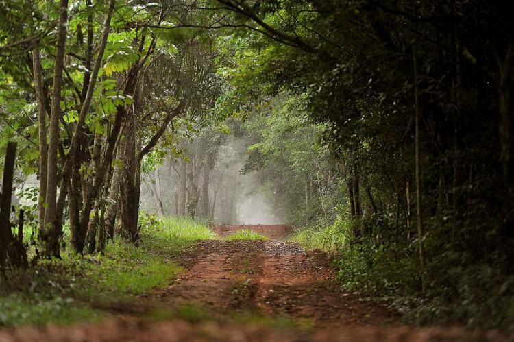Bosque Mbaracayú: Safeguarding Paraguay’s Natural Heritage | LAC Geo