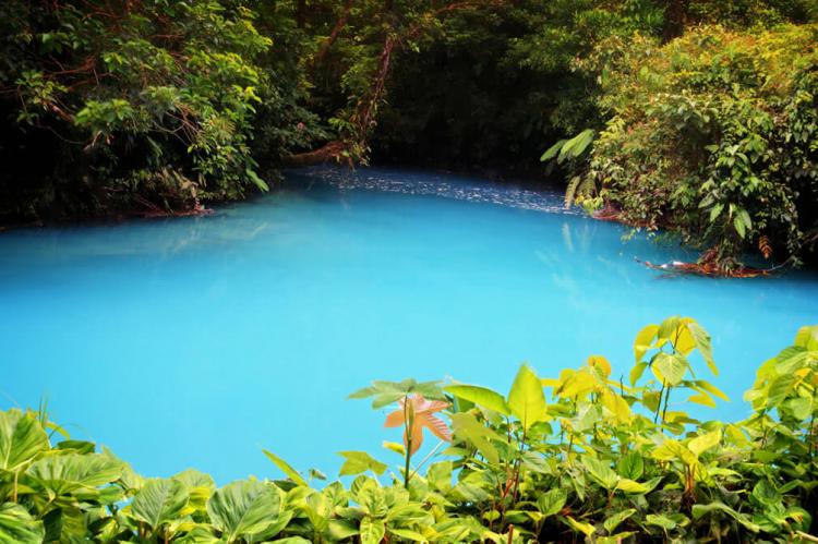 Tenorio Volcano National Park: Haven for Wildlife & Volcanic Wonders ...