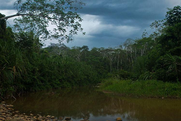 Madidi National Park: Bolivia's Biodiversity Oasis | LAC Geo
