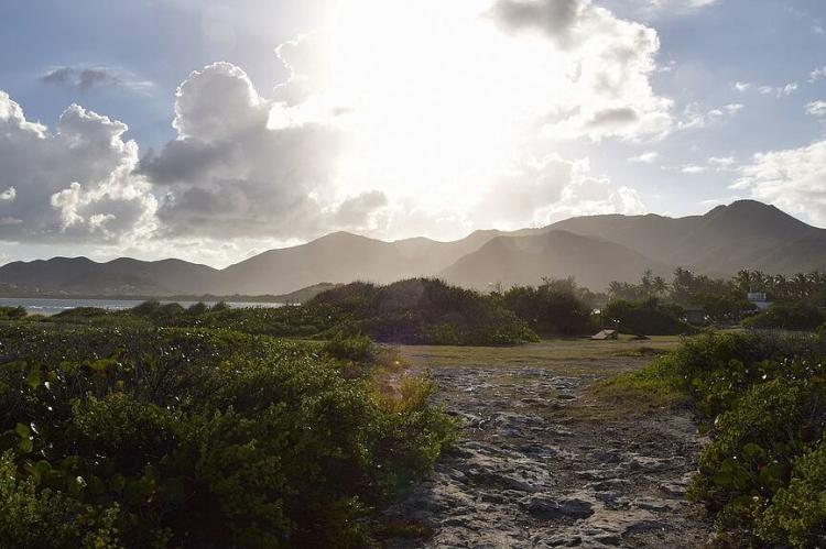 Saint-Martin National Nature Reserve: Preserving the Jewel of the ...