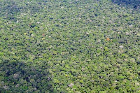 Biomes / Ecosystems of South America | LAC Geo