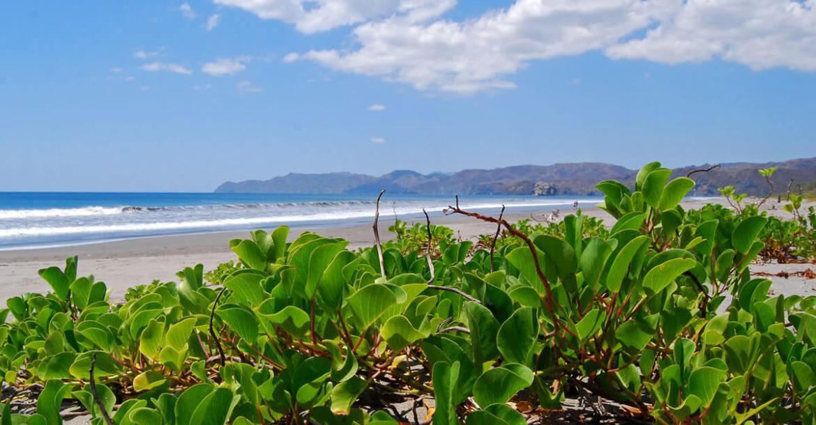 SINAC, Costa Rica's National System of Conservation Areas: Worldwide ...