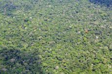 Madeira River: A Lifeline of the Amazon Basin | LAC Geo
