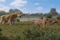 The Maya Region: A Journey through Peaks, Lowlands, & Plateaus | LAC Geo
