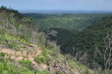 Peaks of History: Exploring Belize's Maya Mountains | LAC Geo
