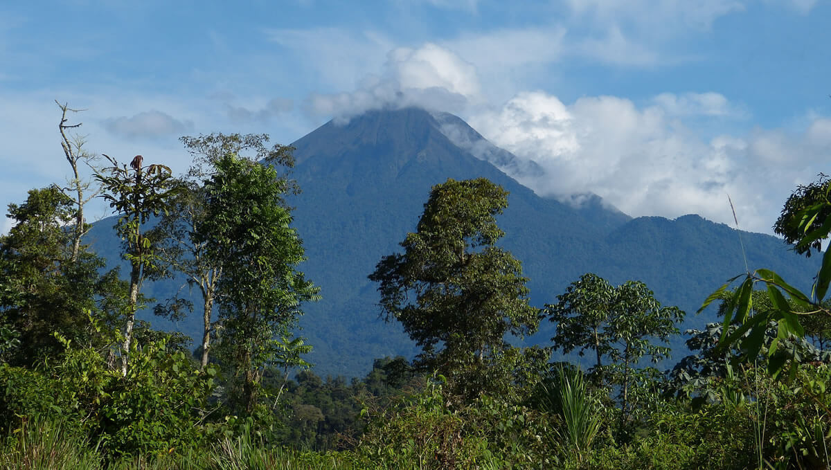 Sumaco Napo-Galeras: Ecuador's Ecological Treasure | LAC Geo