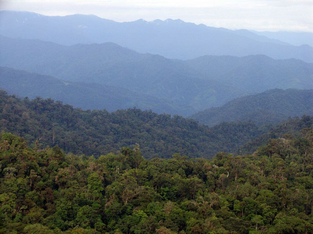 Cordillera de Talamanca: Biodiverse Haven in Central America | LAC Geo