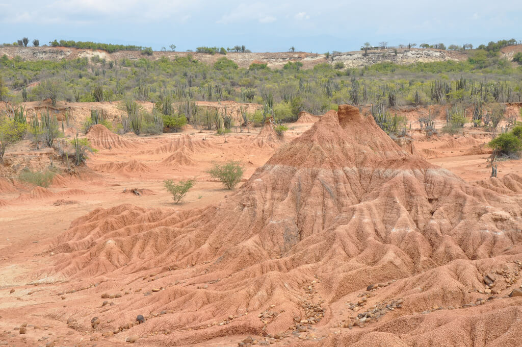 Magdalena Valley Dry Forests: Challenges & Conservation | LAC Geo