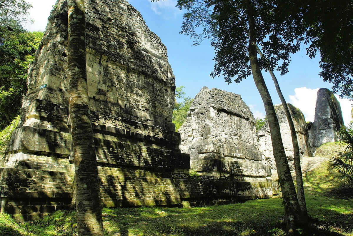 Tikal: Where Ancient Civilization Meets Natural Splendor | LAC Geo