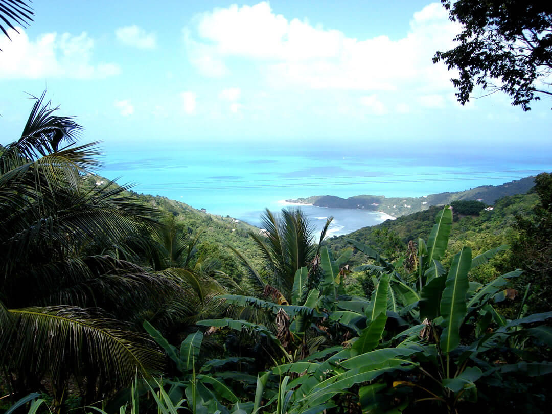 Sage Mountain: A Crown Jewel of the British Virgin Islands | LAC Geo