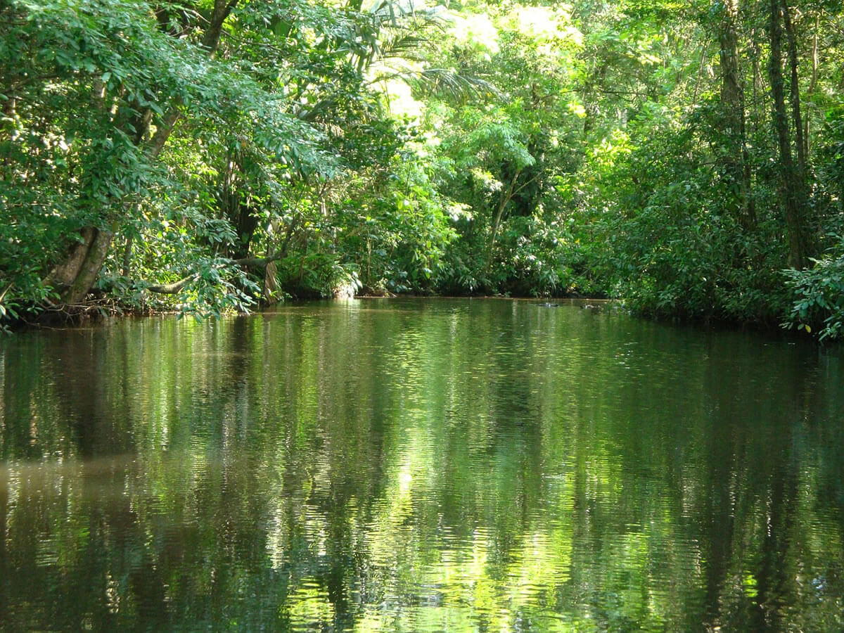 SINAC: Costa Rica's Blueprint for Conservation Success | LAC Geo