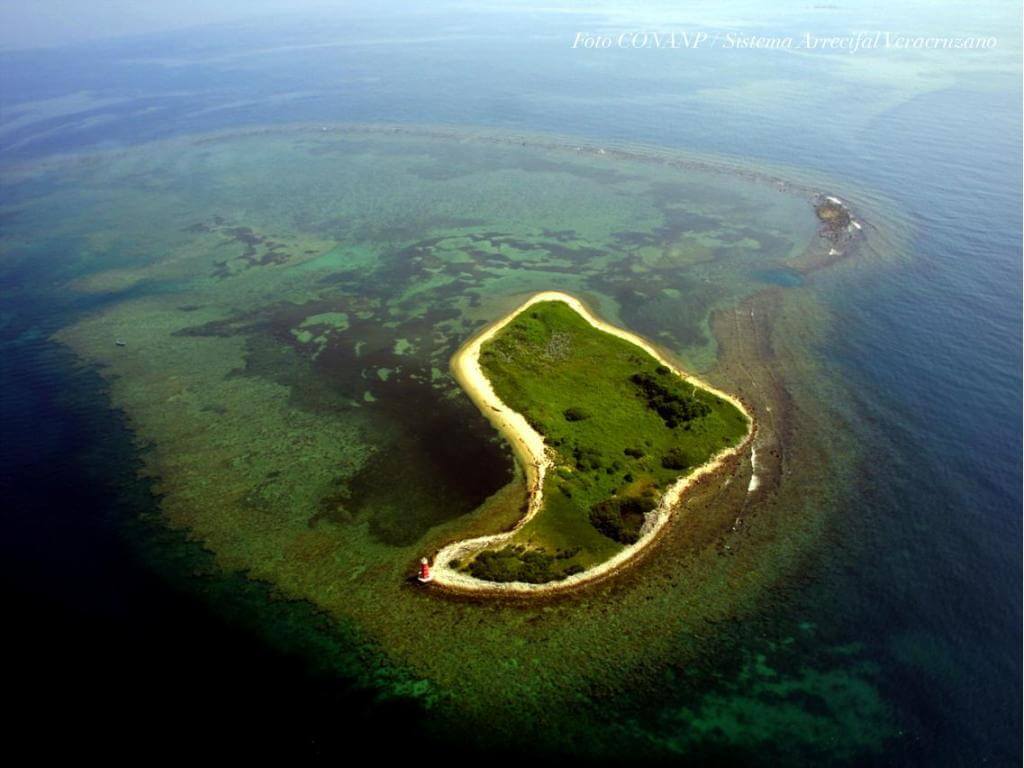 Veracruz Reef System: Guardians of Marine Biodiversity | LAC Geo