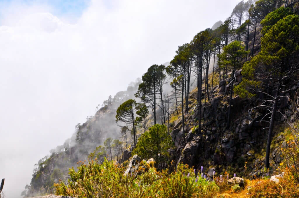 Volcán Tacaná: A Biodiversity Haven in Chiapas | LAC Geo