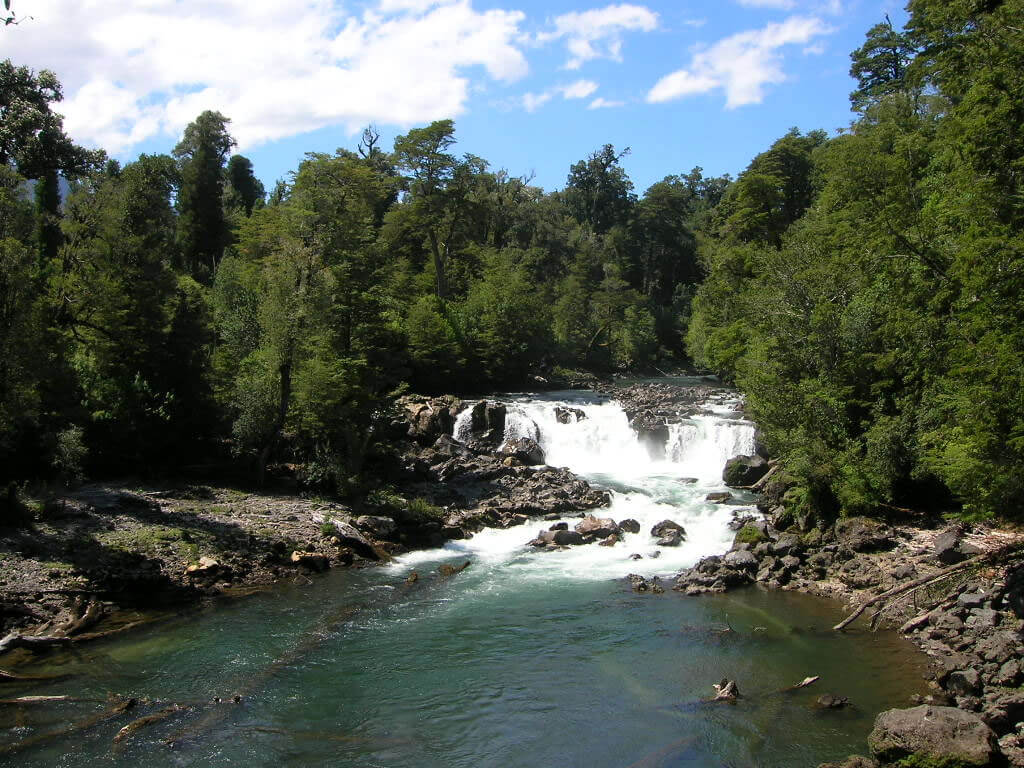 Bosques Templados Lluviosos: Preserving Chile's Natural Heritage | LAC Geo