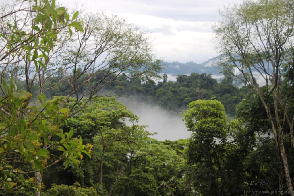 Río Plátano Biosphere Reserve: Guardian of Biodiversity | LAC Geo
